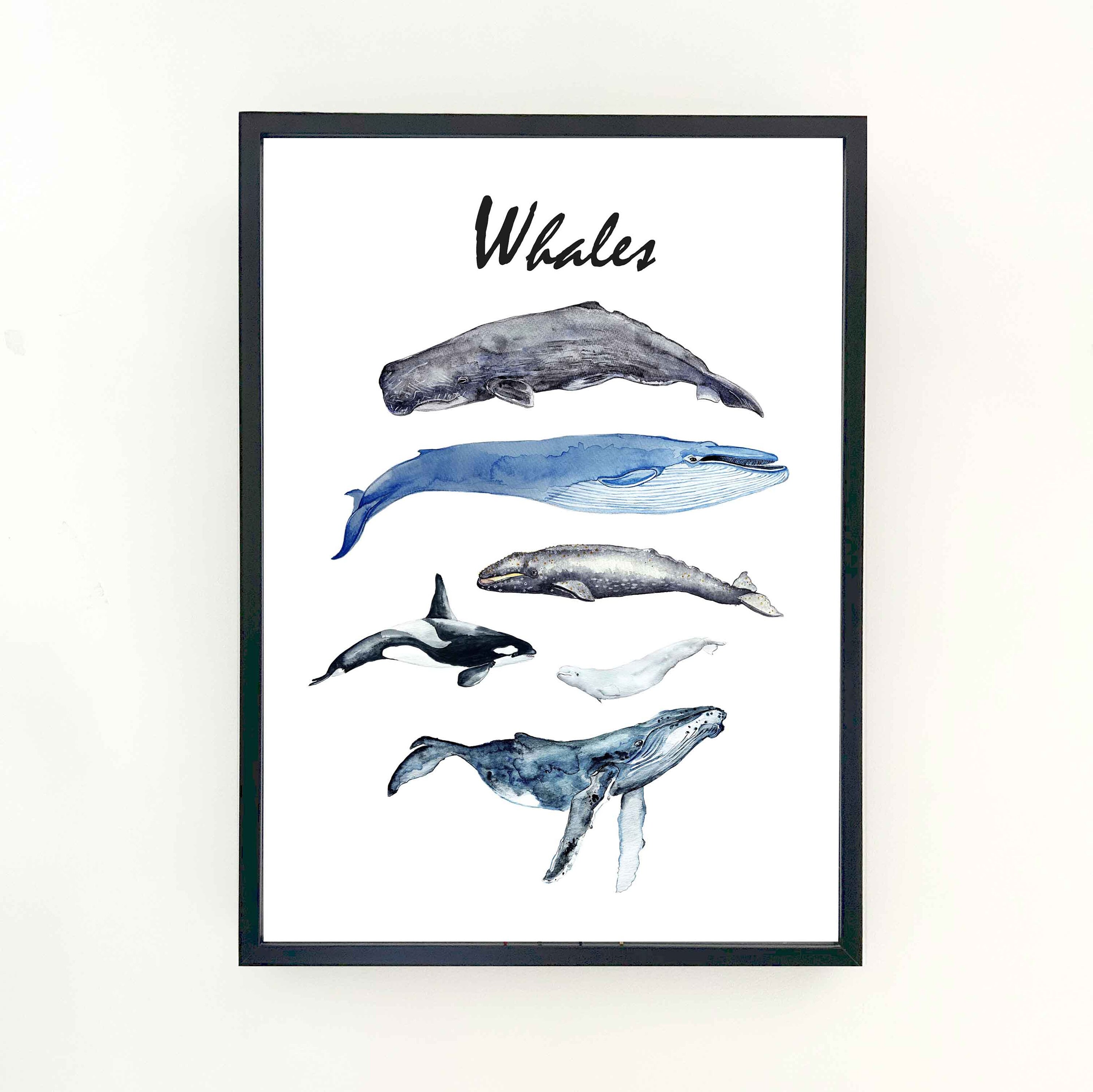Downloadable Printable Whales Poster - Etsy