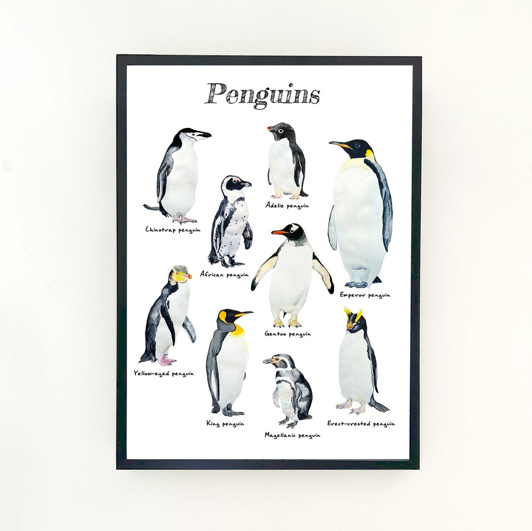 Penguins Kids Room Nursery Poster - Etsy