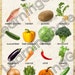 Fruits and Vegetables Posters - Etsy