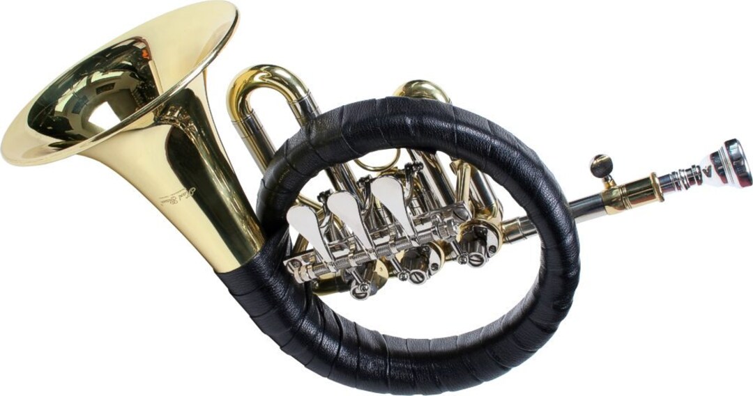 Karl Glaser® Prince Pless Horn - Etsy