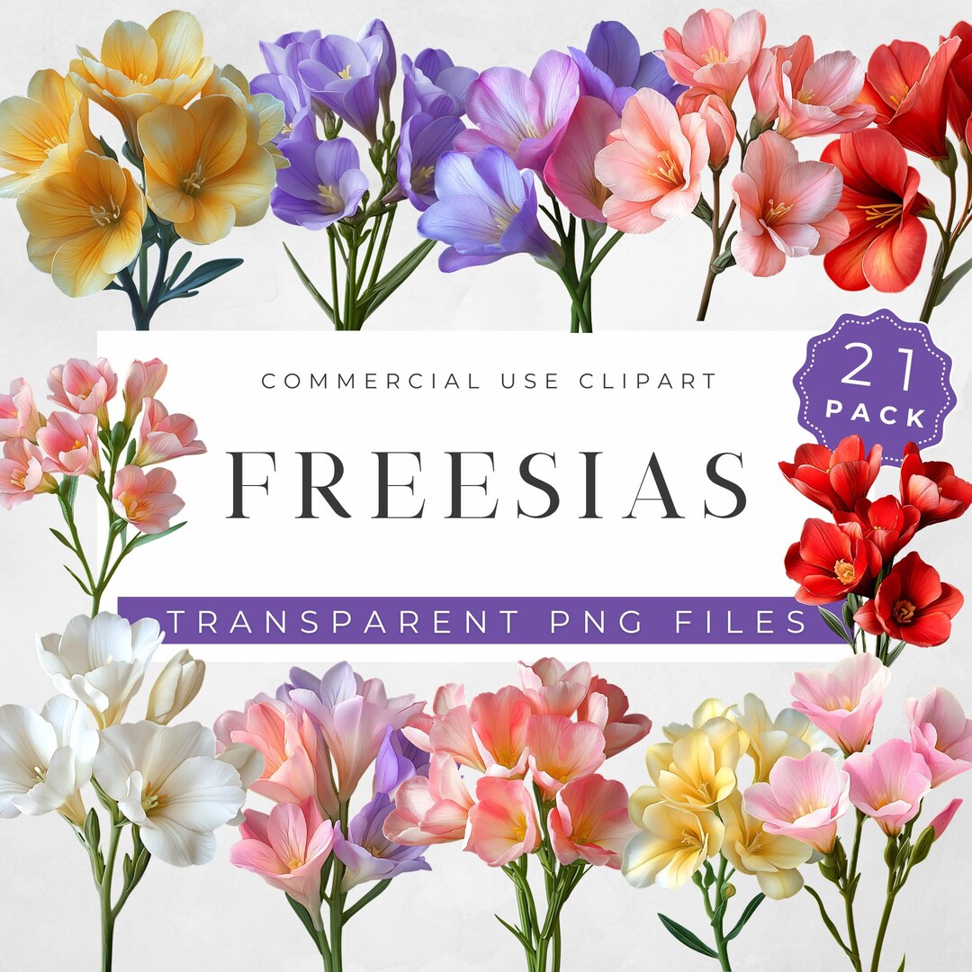 Freesia Flowers Clip Art Pack 21 PNG Images 300 DPI High-resolution ...