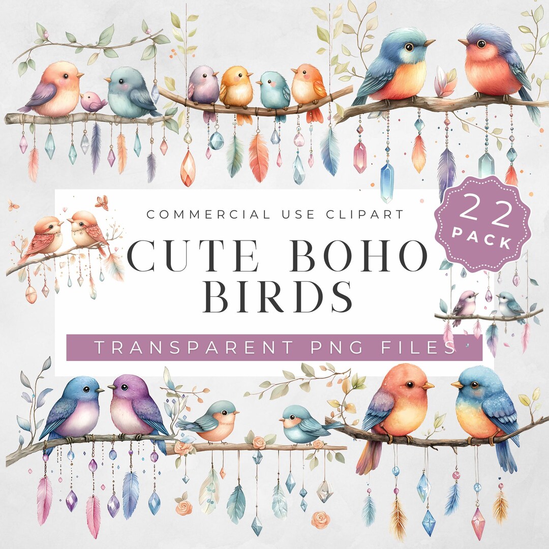 Cute Boho Birds Clip Art Pack 22 PNG Images High-resolution 300 DPI ...