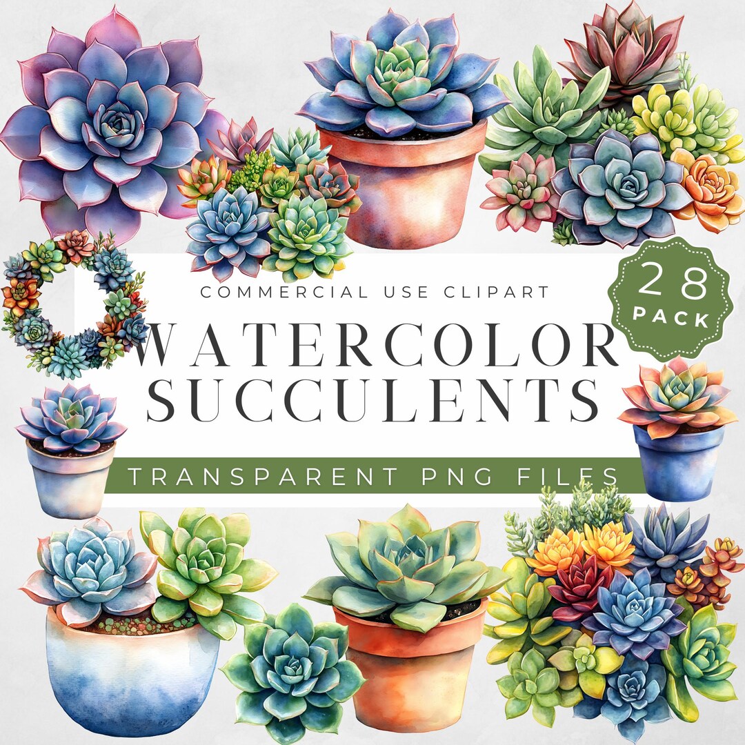 Watercolor Succulents Plants Clip Art Pack 28 PNG Images 300 DPI High ...
