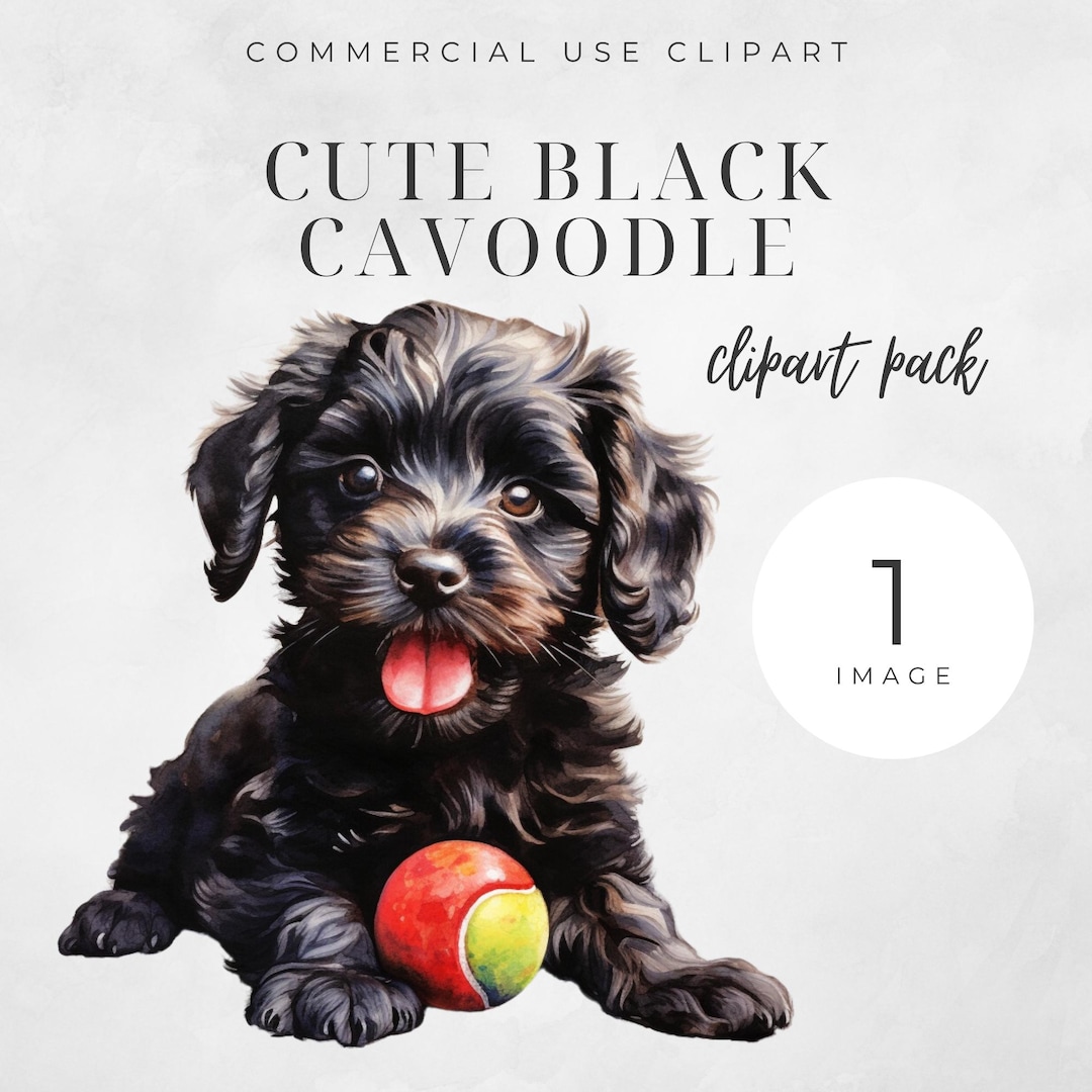 Cute Black Cavoodle Dog Single Clip Art Image 300DPI High-resolution ...