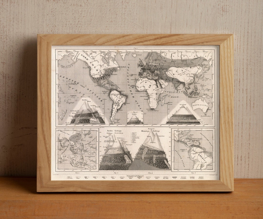 Old World Map, 1851 Antique Style Vintage Map of the World Biomes, Rare ...