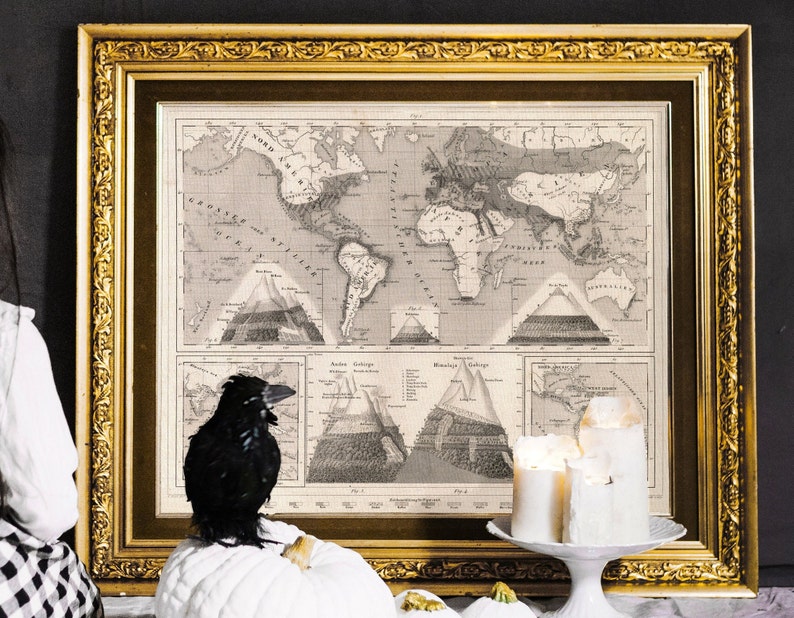 Old World Map, 1851 Antique Style Vintage Map of the World Biomes, Rare ...