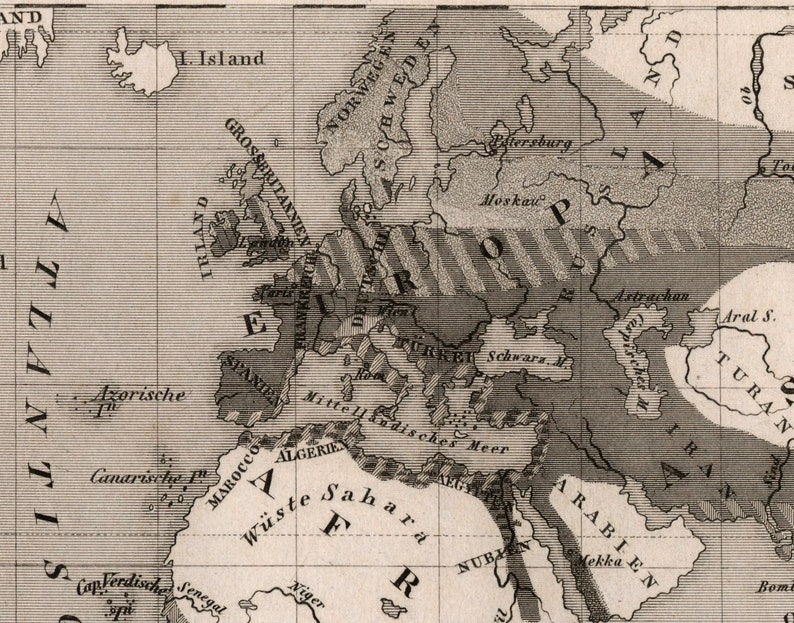Old World Map, 1851 Antique Style Vintage Map of the World Biomes, Rare ...