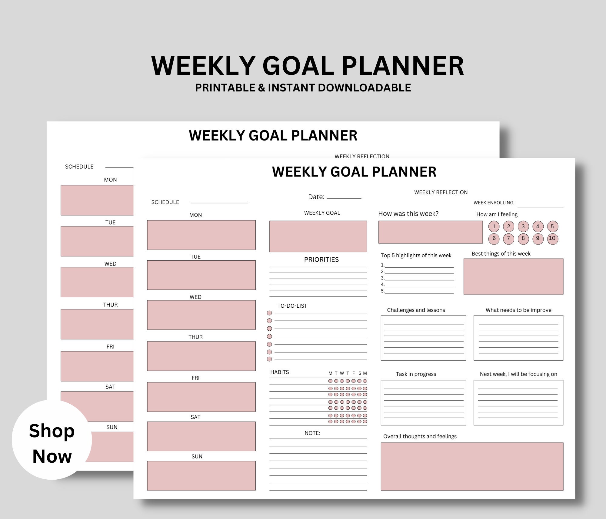 Weekly Goal Planner, Printable Goal Planner, Goal Setting Planner ...