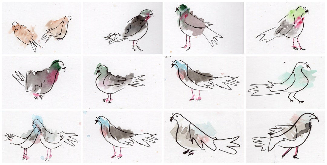 12 X Postcards Pesky Pigeons 2 a Set of 12 Original Art Postcards ...