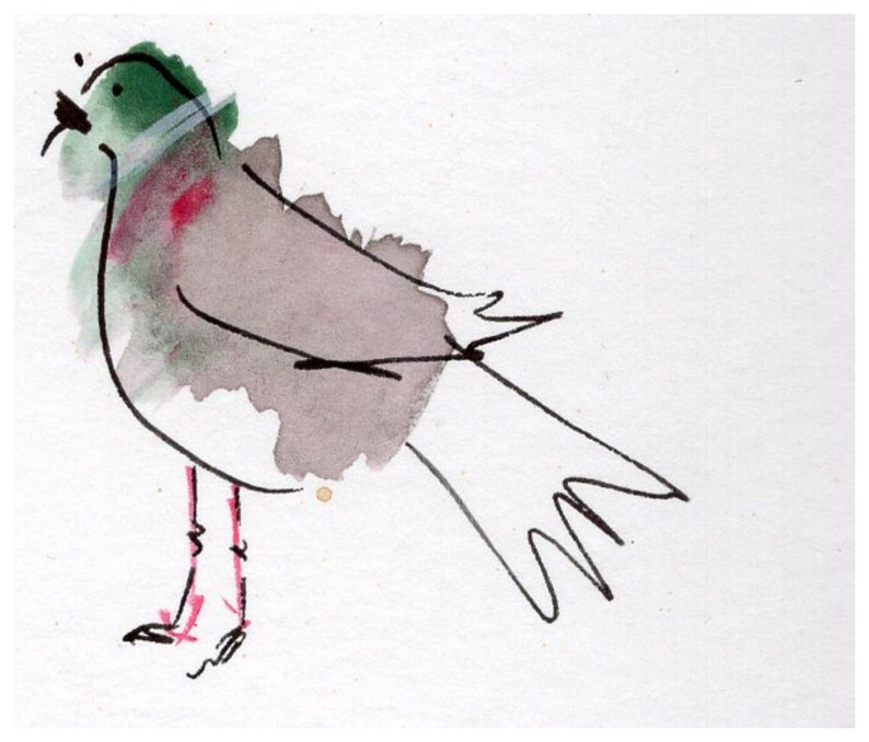 12 X Postcards Pesky Pigeons 1 a Set of 12 Original Art Postcards ...