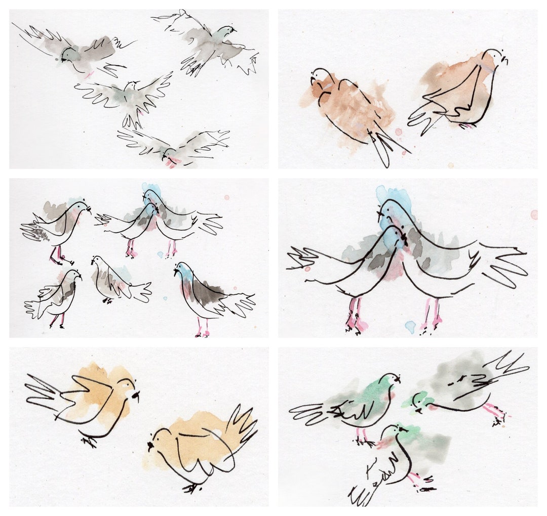 12 X Postcards Pesky Pigeons 1 a Set of 12 Original Art Postcards ...