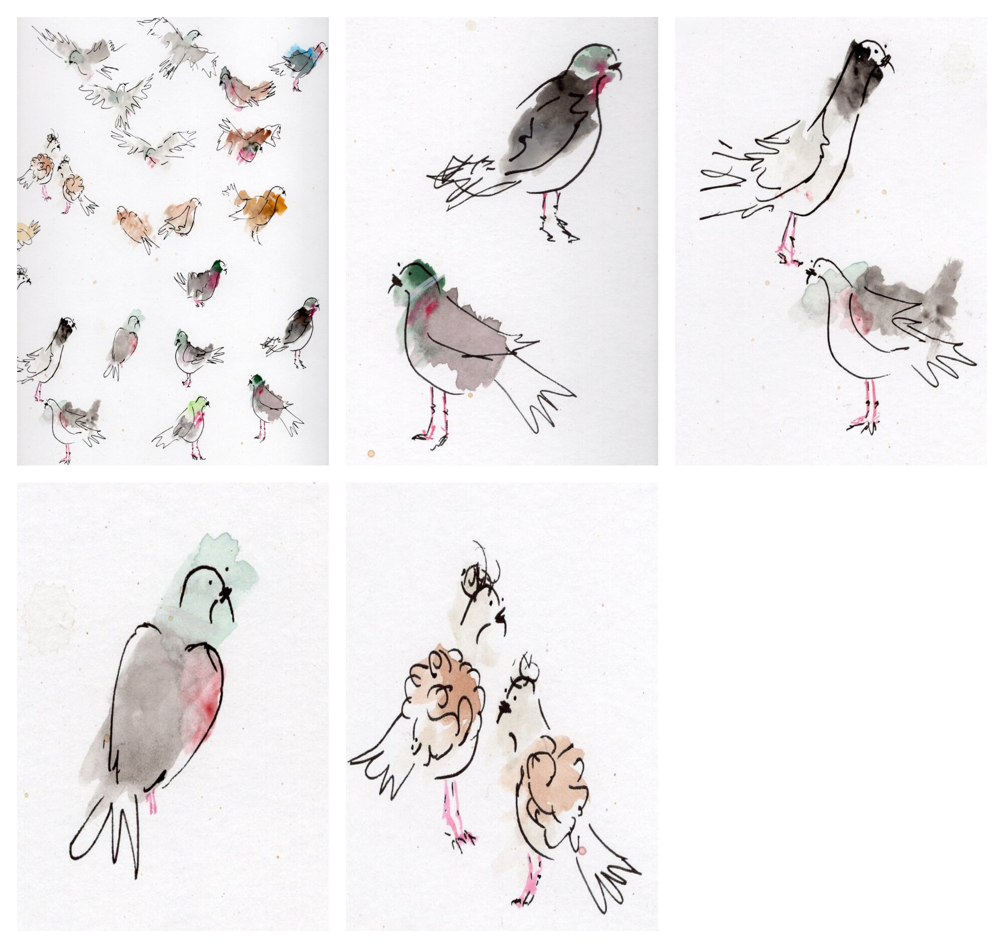 12 X Postcards Pesky Pigeons 1 a Set of 12 Original Art Postcards ...