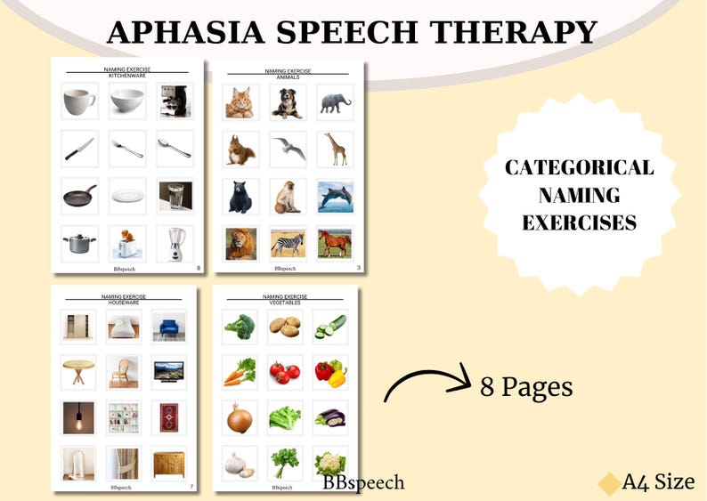 Aphasia Therapy Workbook for Adults | 57-page PDF | Functional Language ...
