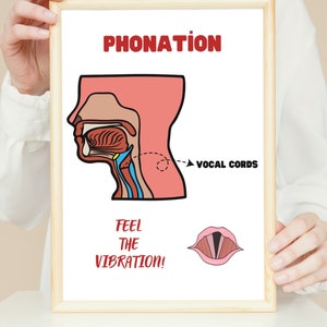 Speech Therapy, Speech Therapy Posters, Speech Therapy Room Decor ...