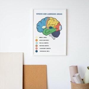 Speech Therapy, Speech Therapy Posters, Speech Therapy Room Decor ...