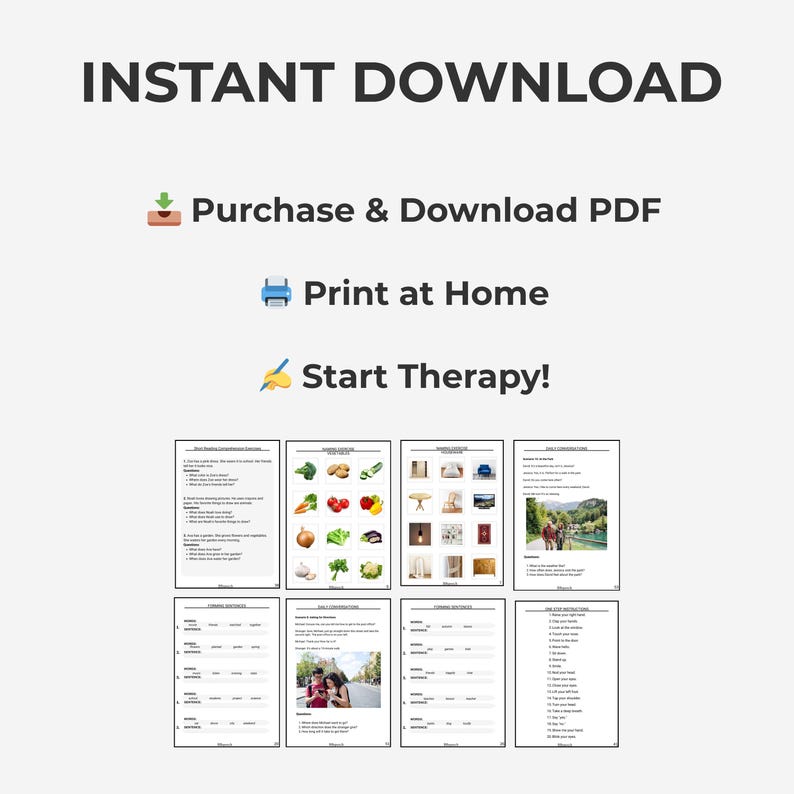 Aphasia Therapy Workbook: Functional Language Activities for Adults ...