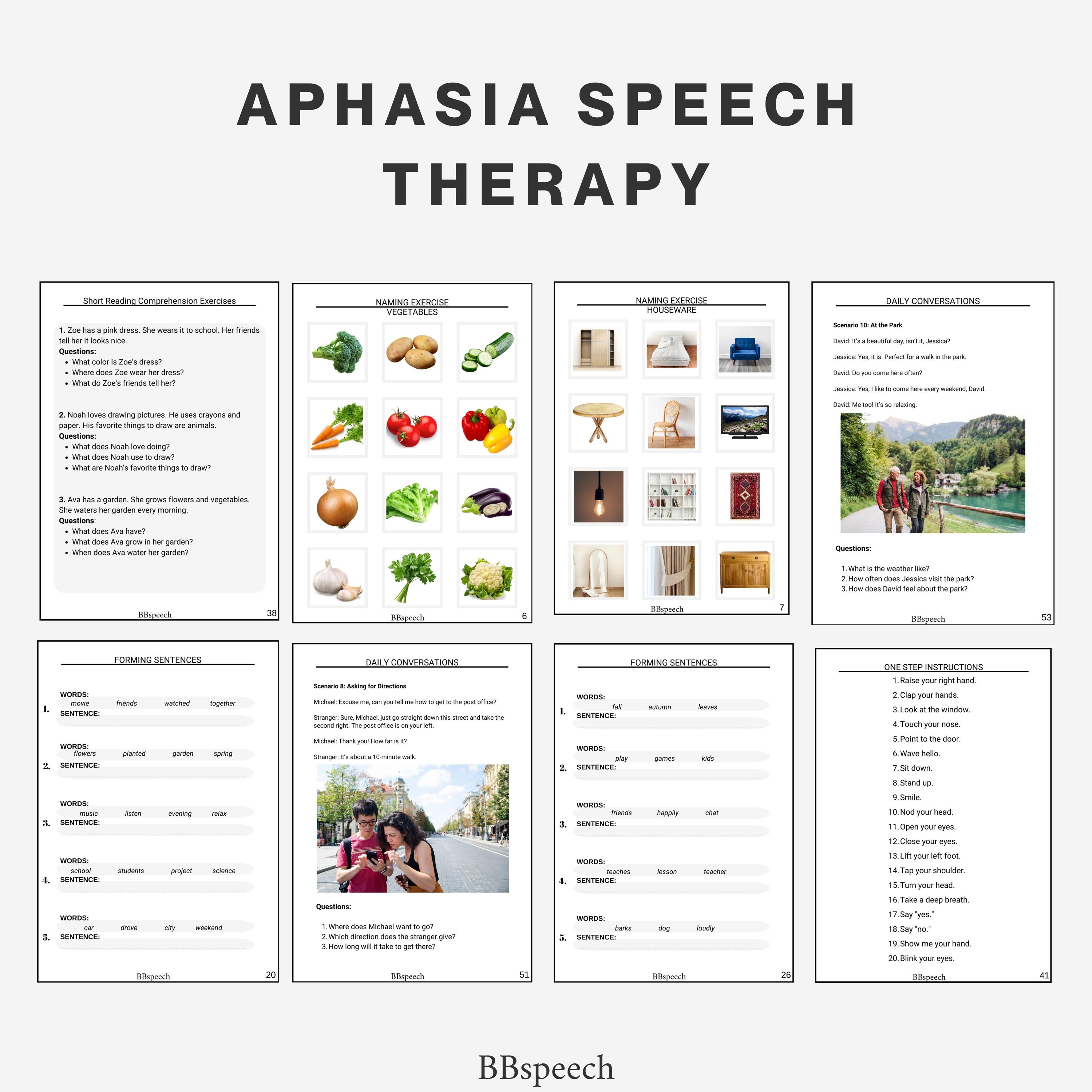 Aphasia Therapy Workbook: Functional Language Activities for Adults ...
