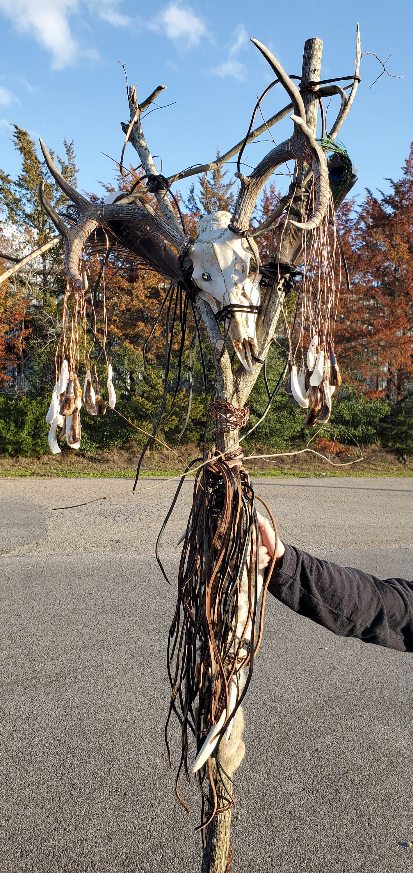 Deer Skull Staff/spiritual Totem - Etsy