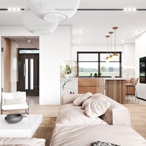 55ft X65ft -luxury One-story Villa Architectural Design -modern and ...