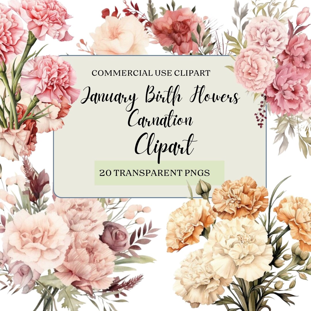 Birth Month Flower Clipart Bundle,watercolor Birthday Flower Clipart ...