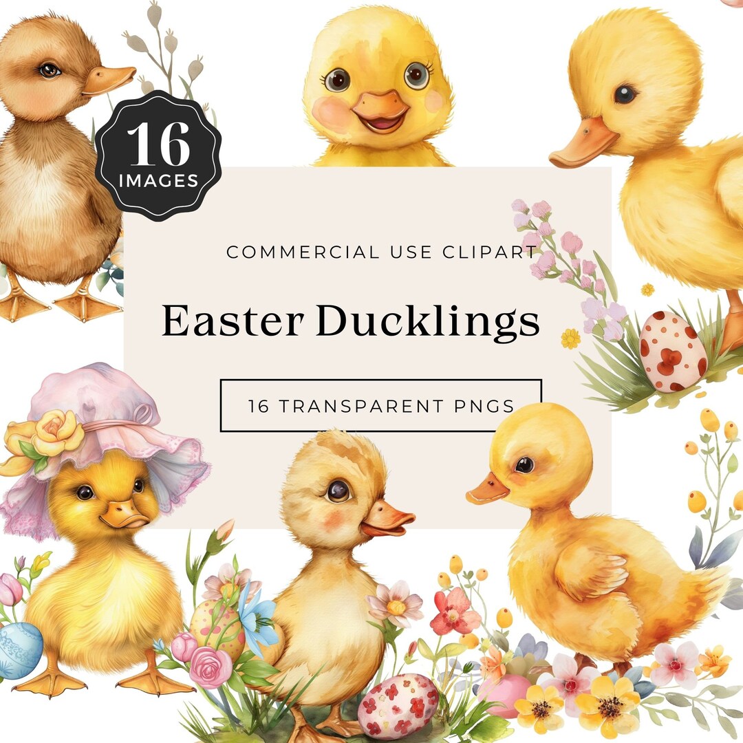 Watercolor Easter Duckling Clipart , Cute Duckling PNG, Duckling ...