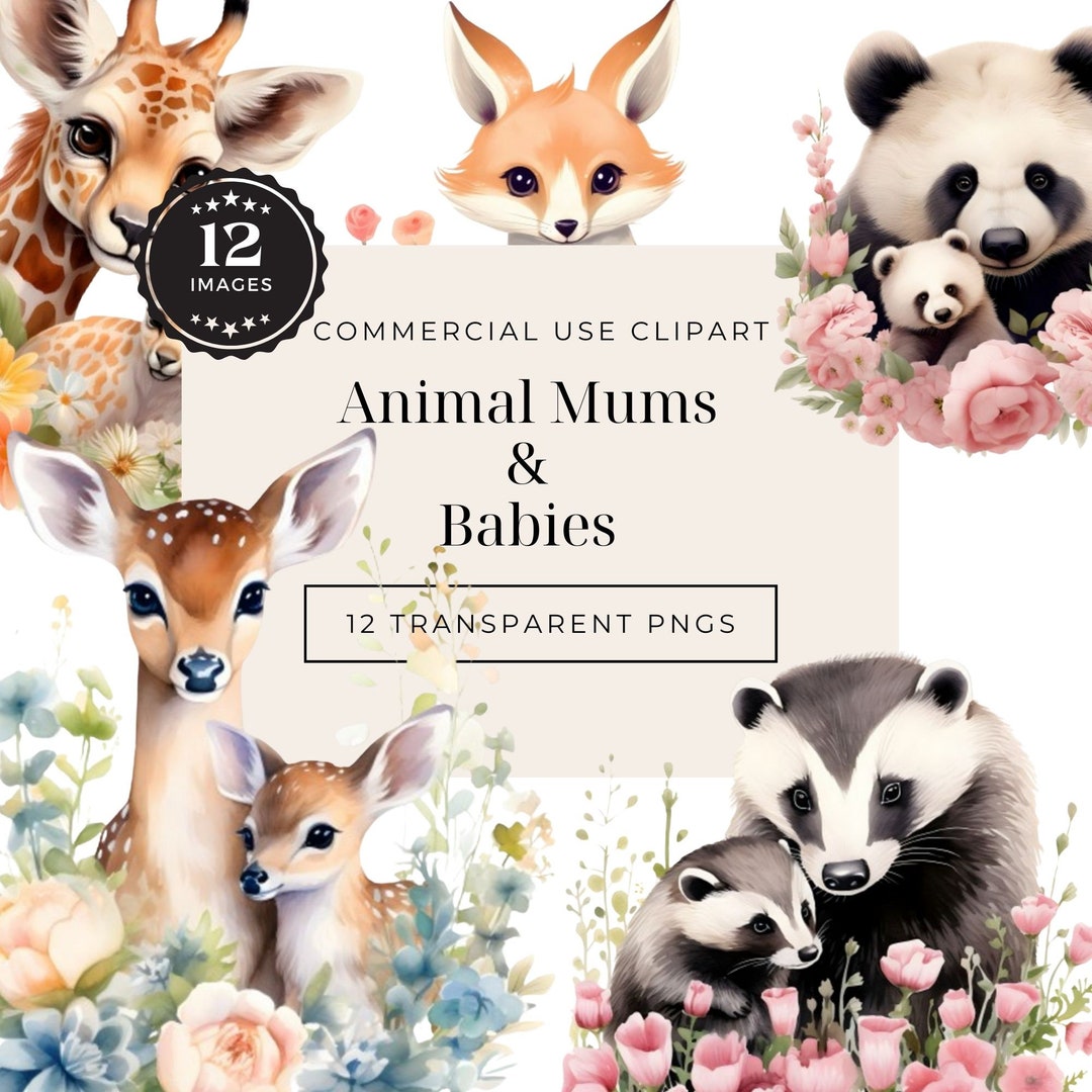 Mother and Baby Animals Clipart , High Quality Pngs, Commercial Use ...