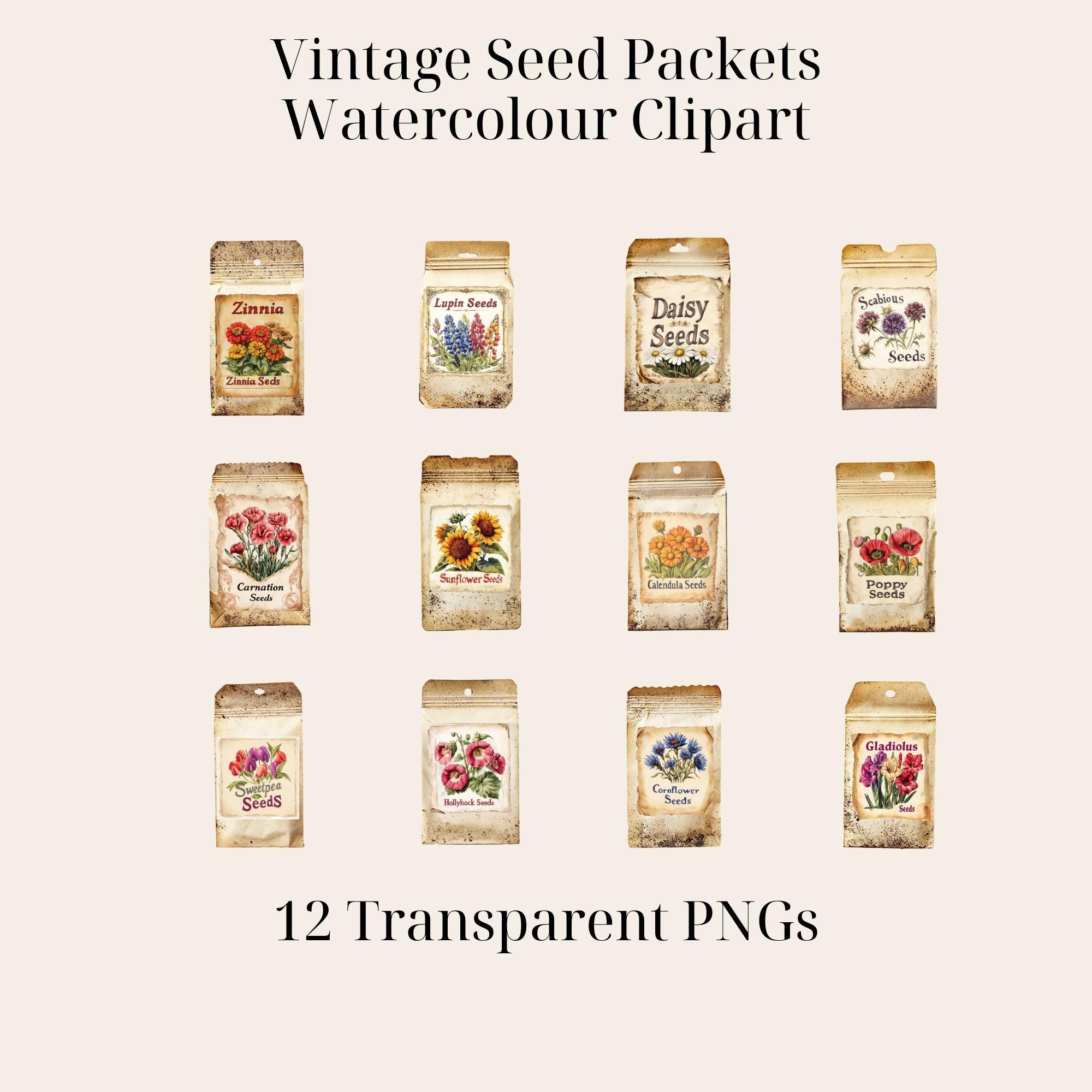 Seed Packet Clipart, Vintage Flowers PNG Clipart Bundle ,scrapbooking ...