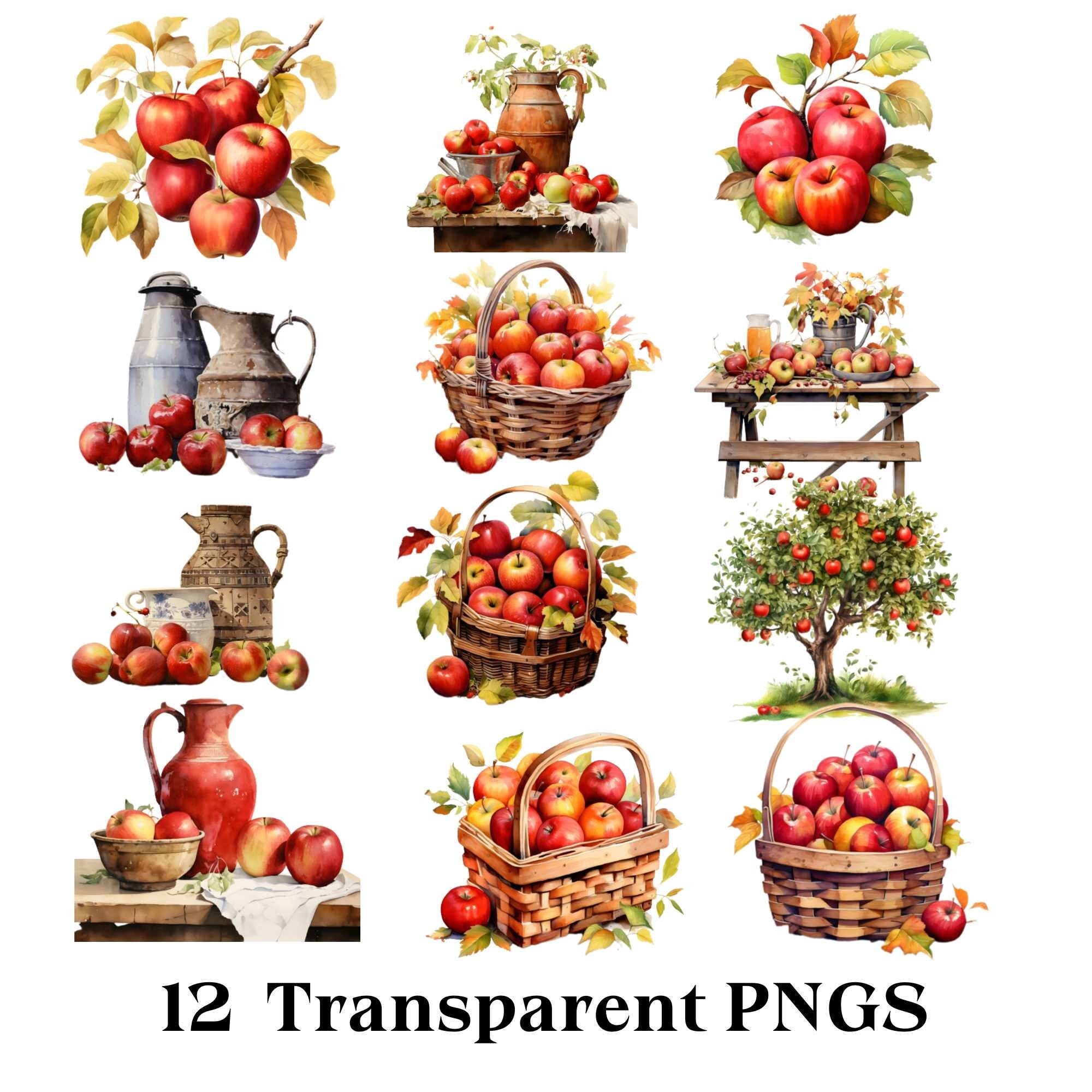 Apple Clipart Pack,12 Transparent Pngs,red Watercolor Apple Clipart ...