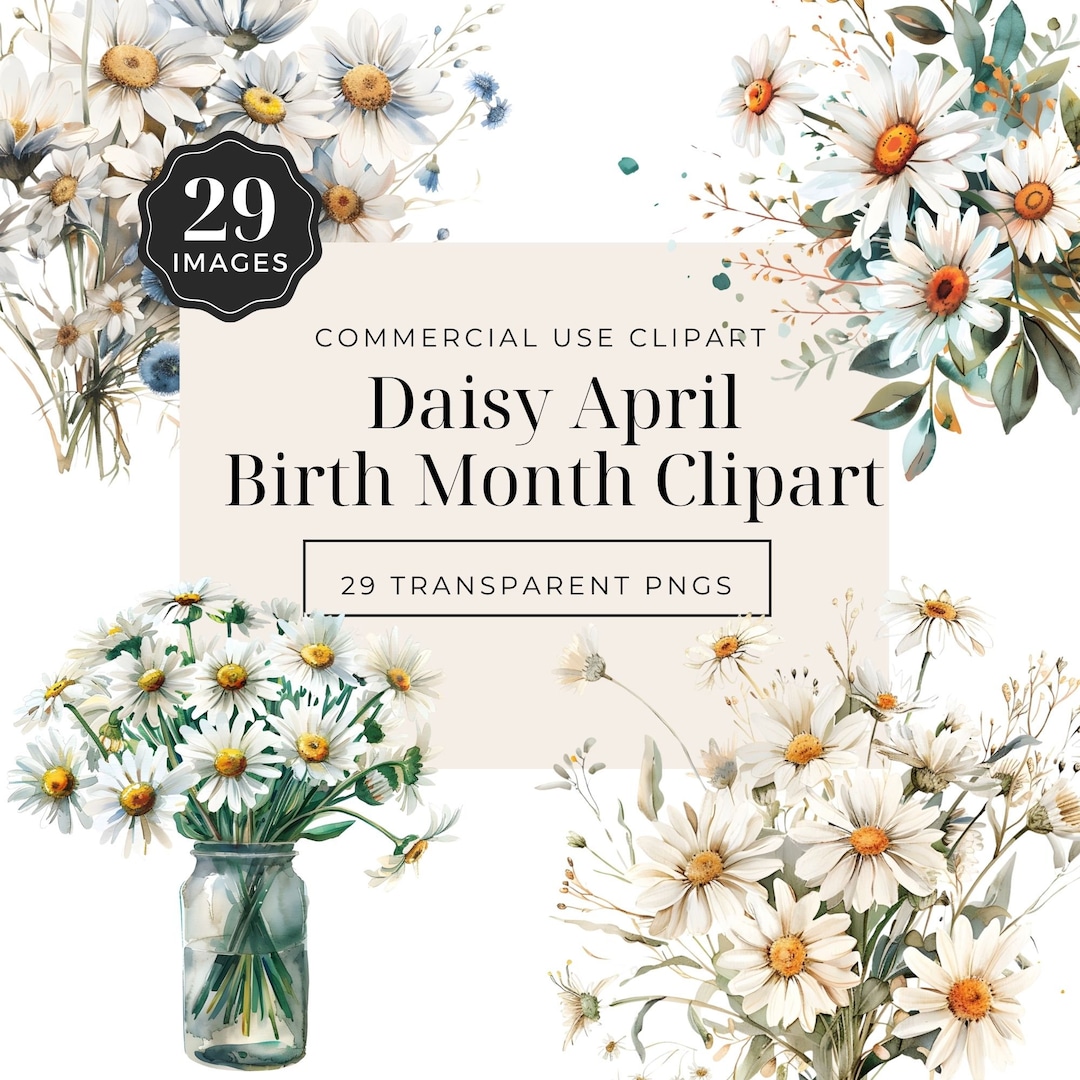 Watercolor Birth Month Flower Clipart,daisy April Birth Floral Art ...