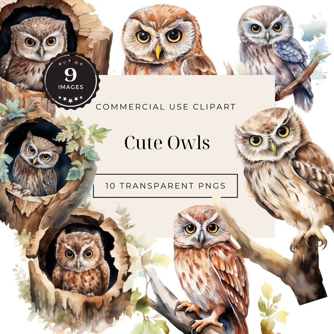 Owl on Branch Clipart, Cute Owl Clipart, Digital Clipart, Watercolor ...