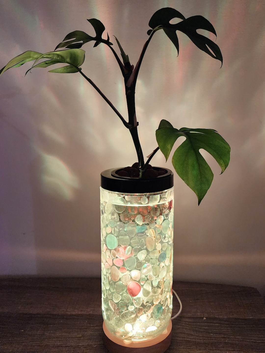 Small Plant Hydroponic Kit With Pebble Design LED Base Home Decor ...