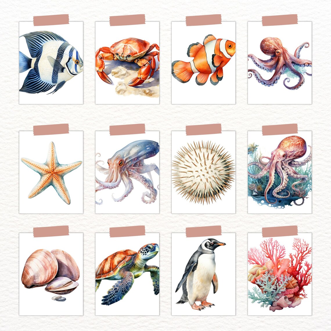 Ocean Creatures PNG Bundle Underwater Animals Clipart Set for Crafts ...