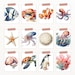 Ocean Creatures PNG Bundle Underwater Animals Clipart Set for Crafts ...