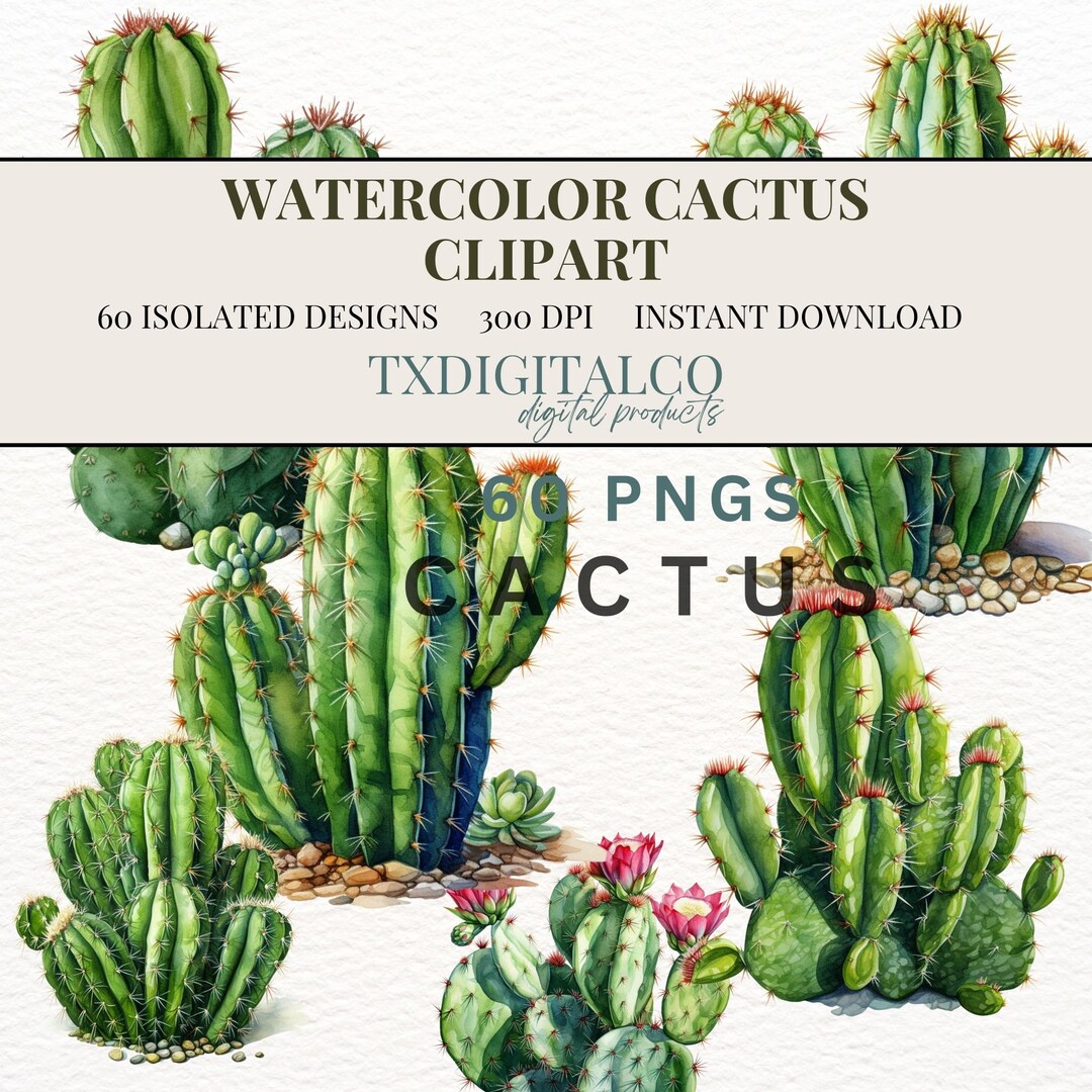 Watercolor Cactus Clipart Set 60 PNG Isolated Desert Plant Designs for ...