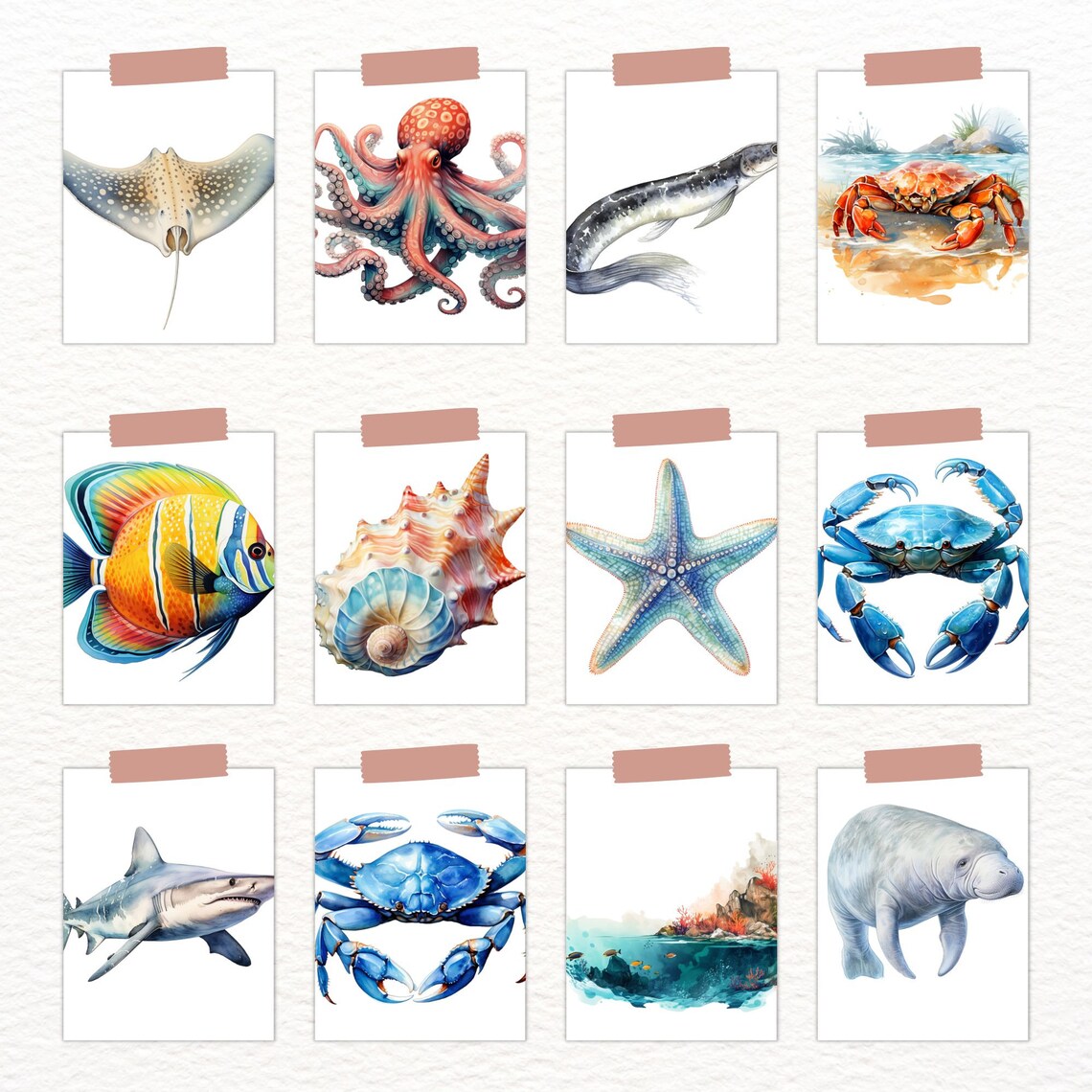 Ocean Creatures PNG Bundle Underwater Animals Clipart Set for Crafts ...