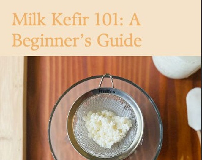 Milk Kefir 101: A Beginner's Guide - Etsy