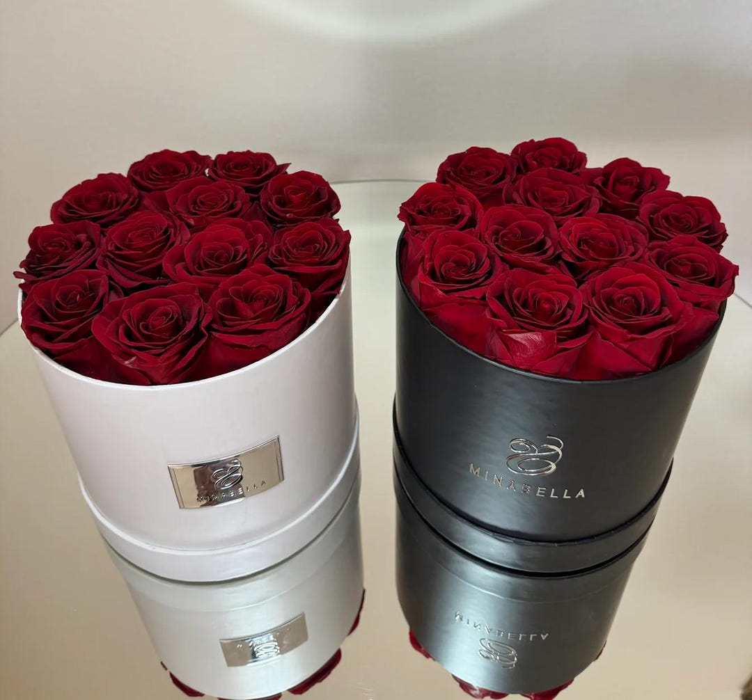 One Dozen Red Preserved Roses - Etsy