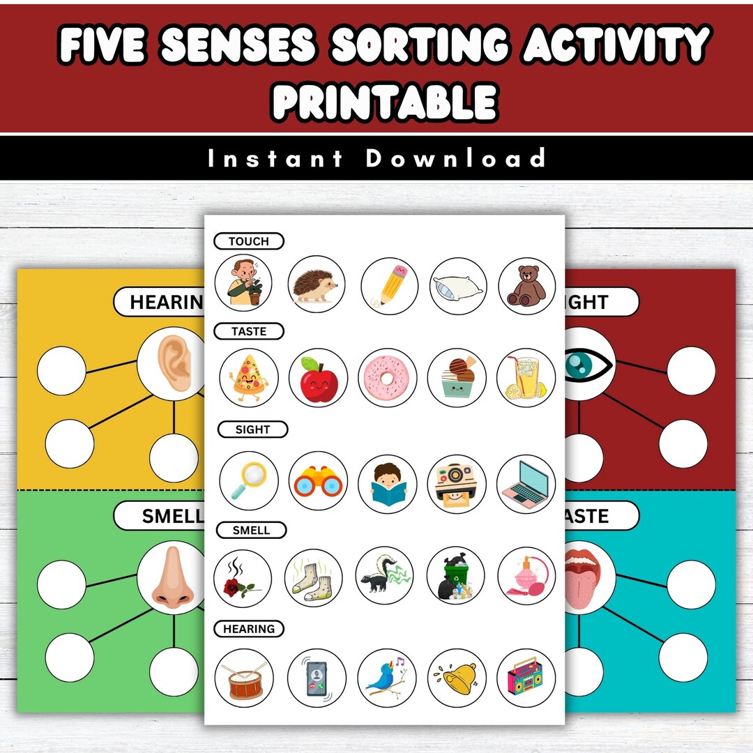 Engaging Five Senses Sorting Activity: Printable Worksheets for Kids ...