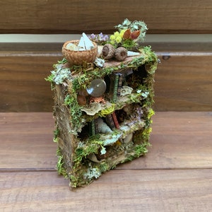 Fairy Bookshelf, Fairy Treasures, Fairy House Bookshelf, Woodland ...