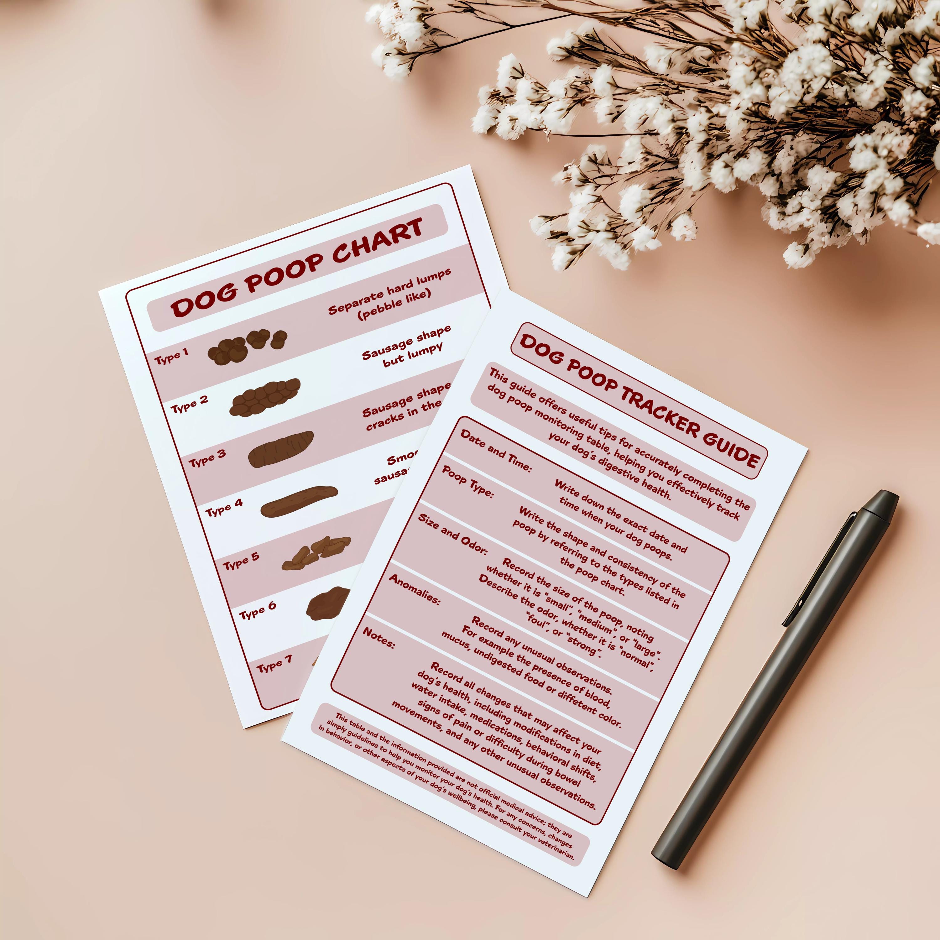 Dog Poop Tracker, Pet Poop and Health Journal, Monitoring Table, Pet Care Template, Types of ...