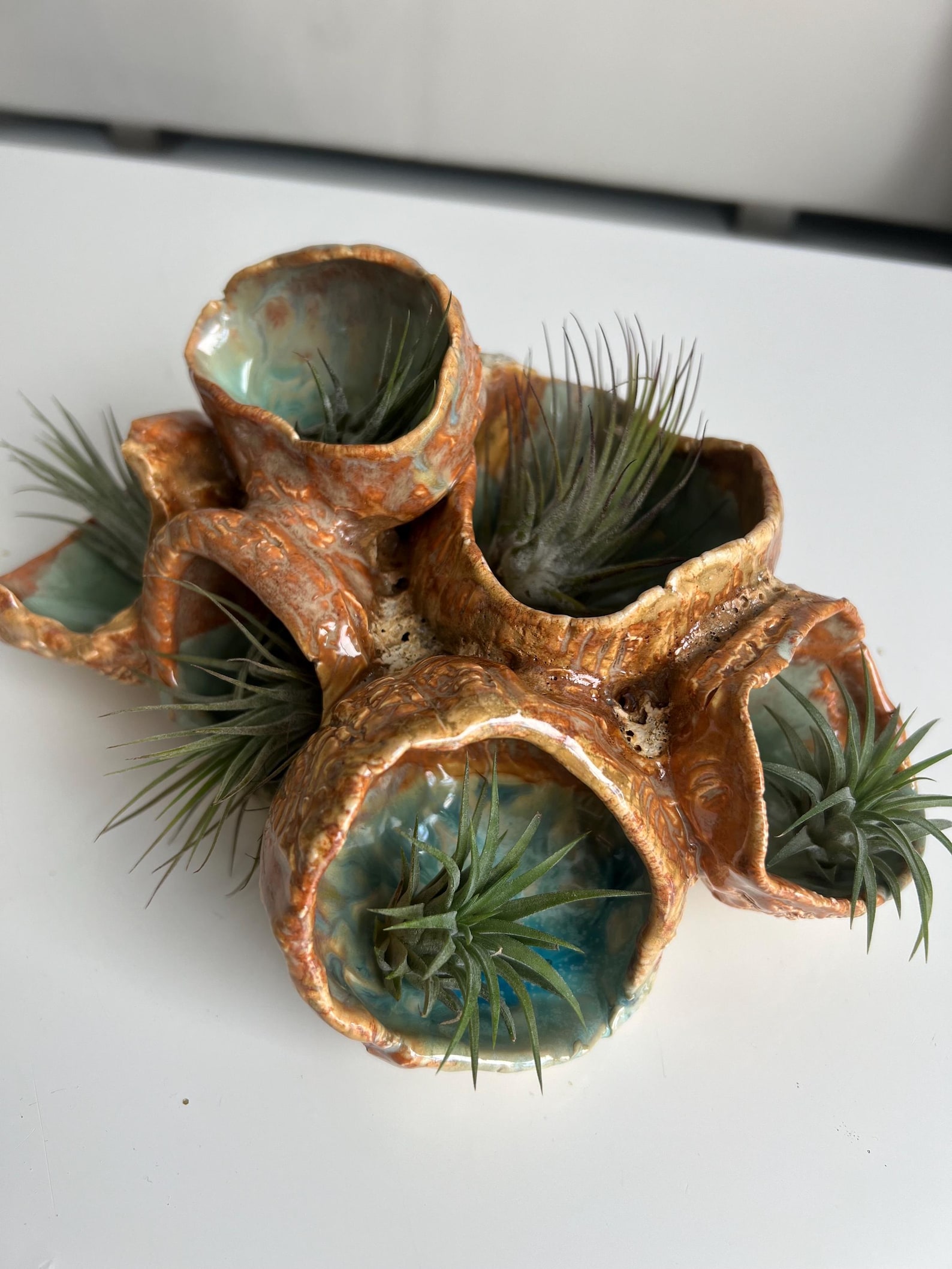 Ceramic Planter for Air Plants! - Etsy