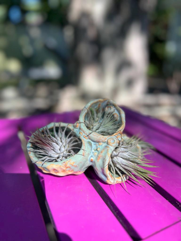 Ceramic Planter for Air Plants! - Etsy