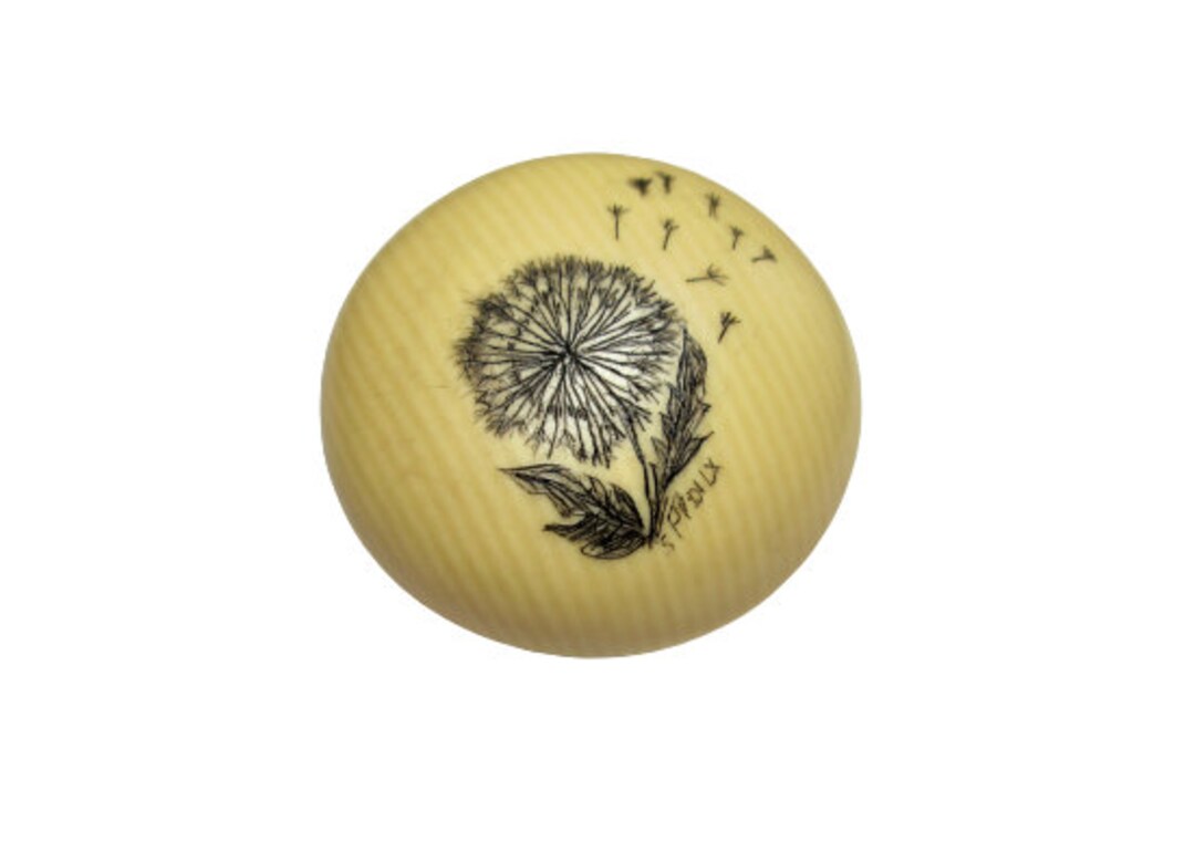 Stunning Scrimshaw Button Unusual Medium 'french Ivory' Celluloid ...