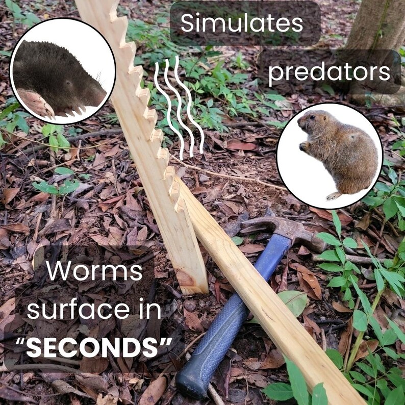 Worm Grunting Stick: Pine Wood Worm Caller for Bait Collection - Etsy ...