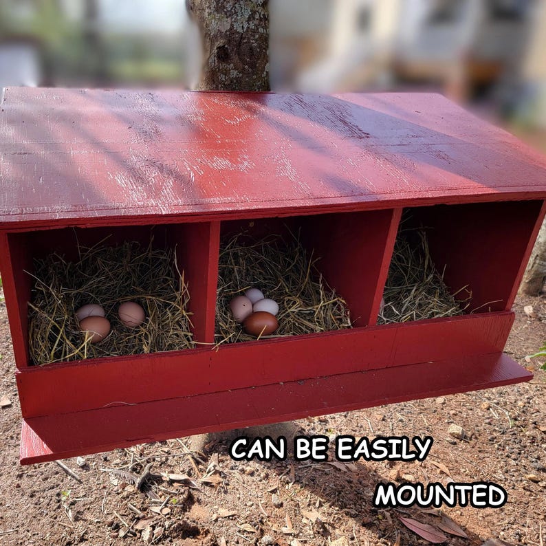 DIY X-large Chicken Nesting Box Plan – Build a Durable, Waterproof ...