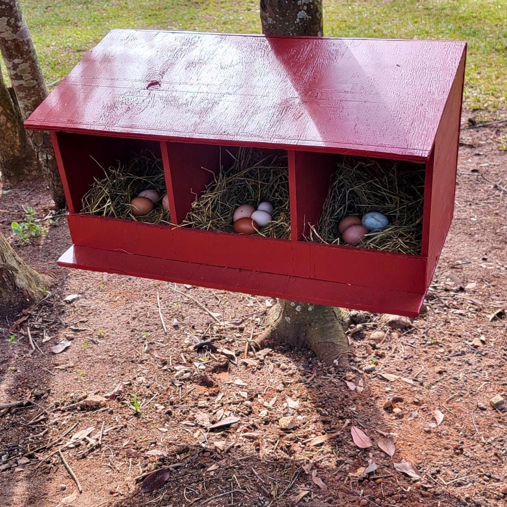 DIY X-large Chicken Nesting Box Plan – Build a Durable, Waterproof ...