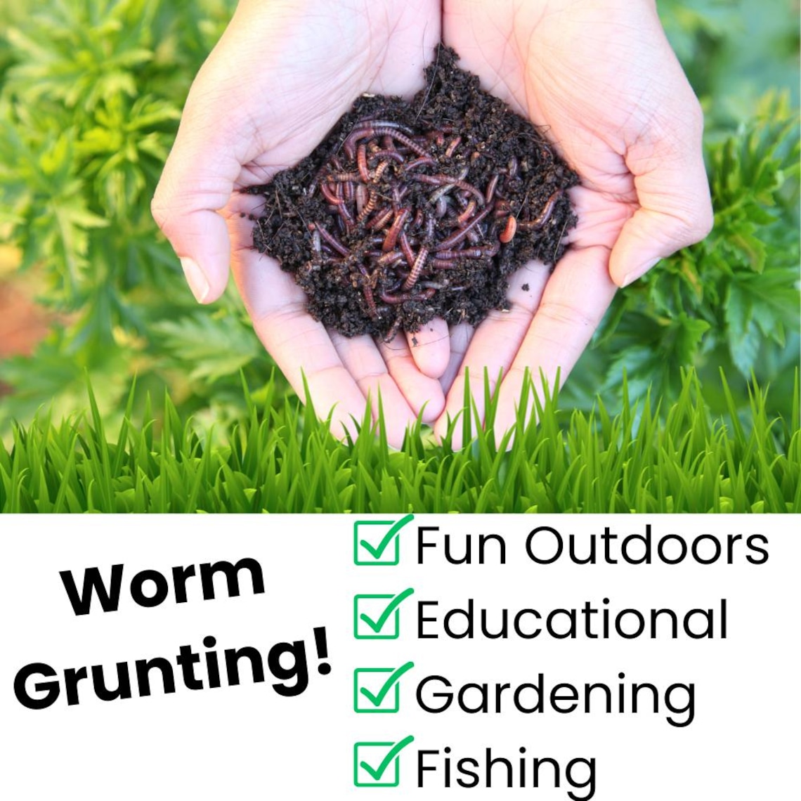 Worm Grunting Stick: Pine Wood Worm Caller for Bait Collection - Etsy ...