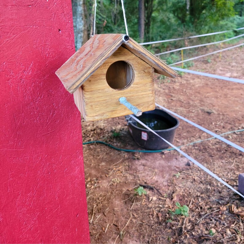 DIY Birdhouse Building Plan: Easy, Lightweight, Waterproof Birdhouse ...