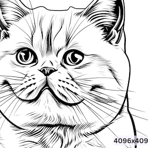 650 Cute Cats | PNG + SVG 300dpi, Doodle Style Clipart, Cat Decor ...