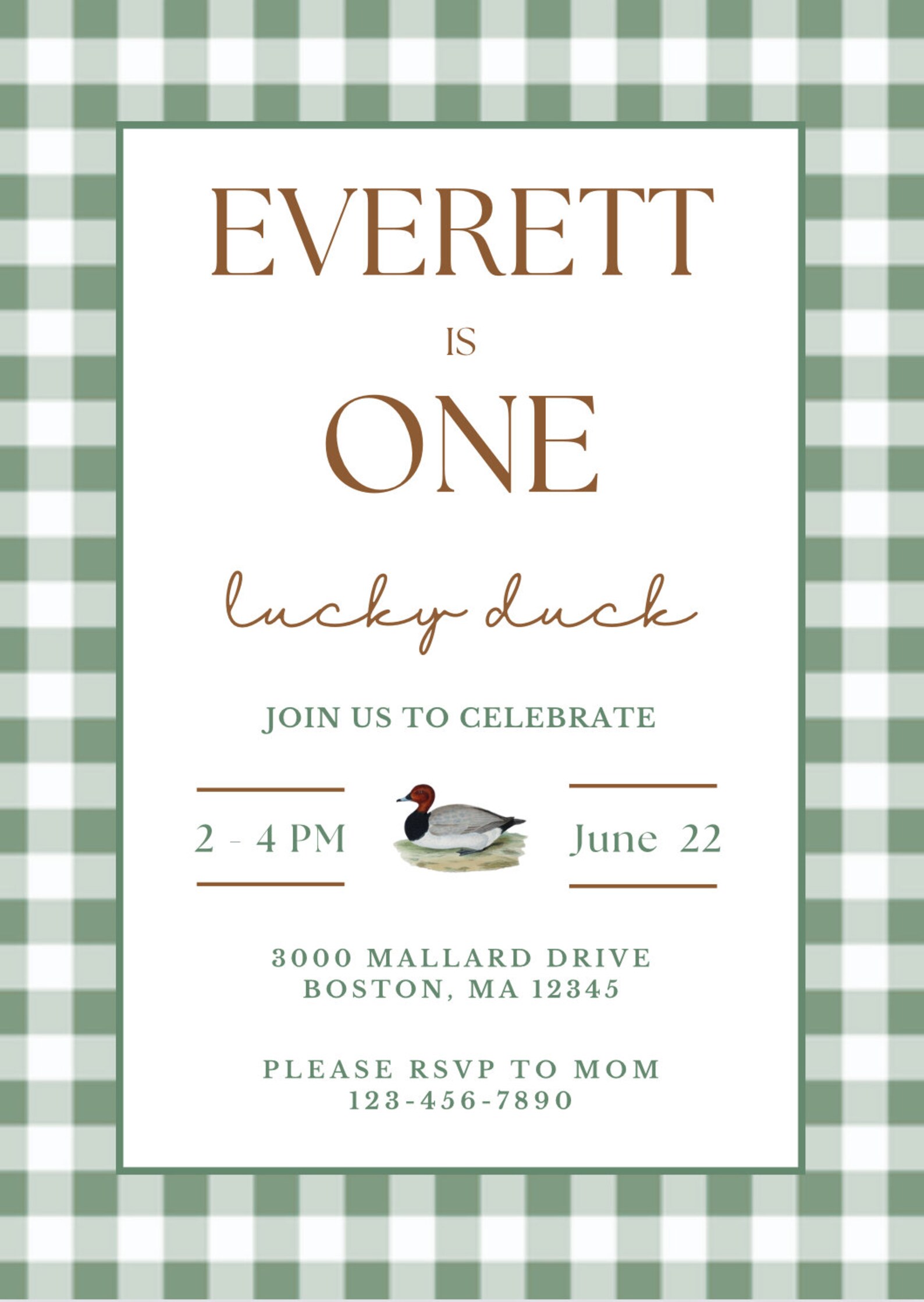 One Lucky Duck 1st Birthday Invitation - Etsy